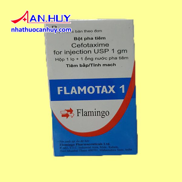 Thuốc Flamingo 1g – Thuốc điều trị nhiễm khuẩn – Nhà Thuốc An Huy